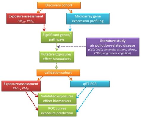 sex specific associations between particulate matter exposure and gene