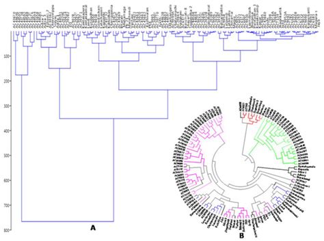 Agronomy Free Full Text Association Mapping For Quantitative Trait