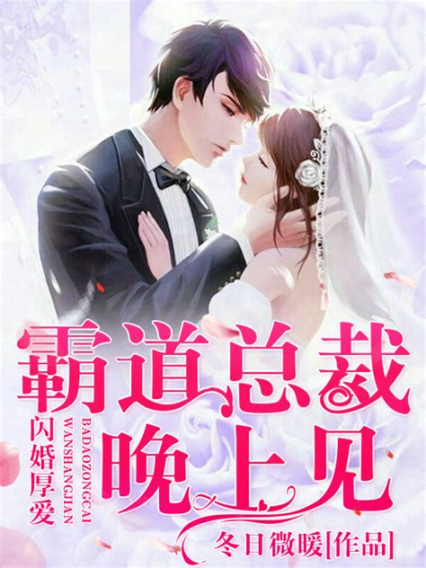 【闪婚厚爱，霸道总裁晚上见】 闪婚厚爱，霸道总裁晚上见连载在线阅读 无弹窗广告 时阅文学网