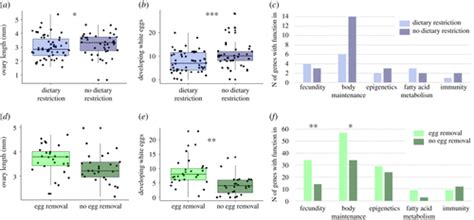 Experimental Increase In Fecundity Causes Upregulation Of Fecundity And