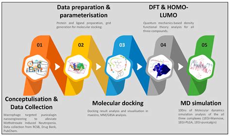 Molecules Free Full Text Macrophage Targeted Punicalagin