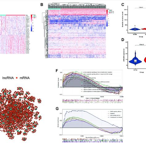 Identification And Functional Annotations Of Genomic Download