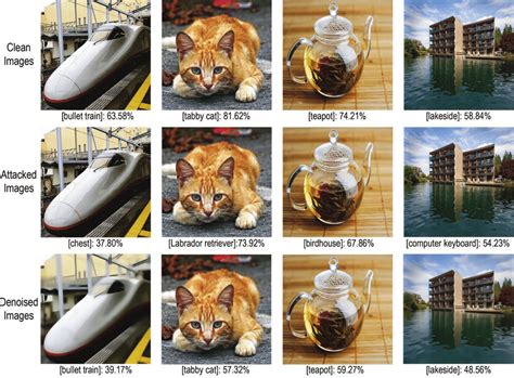 visual illustration of tiny imagenet images sorted from top to bottom