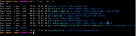 fedora 6 jdk options when installing netbeans ide on linux which one