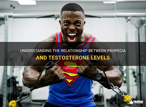 Understanding The Relationship Between Propecia And Testosterone Levels