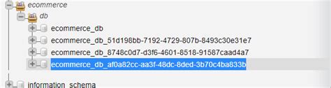 laravel stancl tenancy custom database name stack overflow