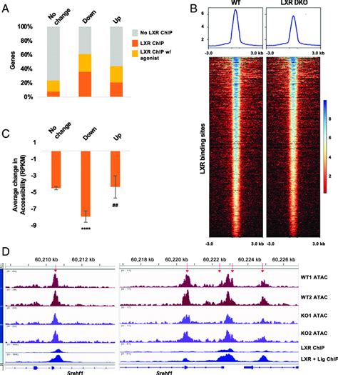 Correlation Of Lxr Binding Gene Expression And Chromatin