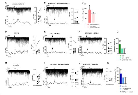 Electrophysiological Validation Of Functional Peptide Growth Factor