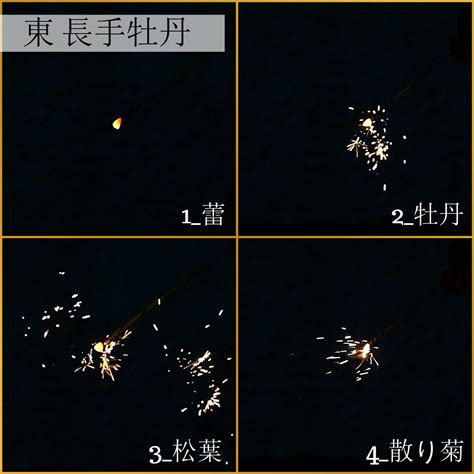 西か、東か。2大線香花火を比べてみた 屋台家 千寿堂 お祭りのケータリングサービス