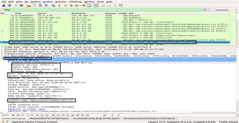 wireshark in depth tutorial linux hint