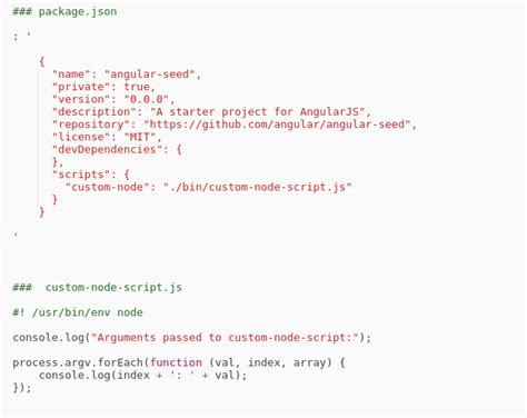 npm run custom node script with arguments codepad