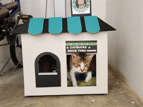Sporean Woman Creates Some 50 Elaborate Cardboard Houses For Community