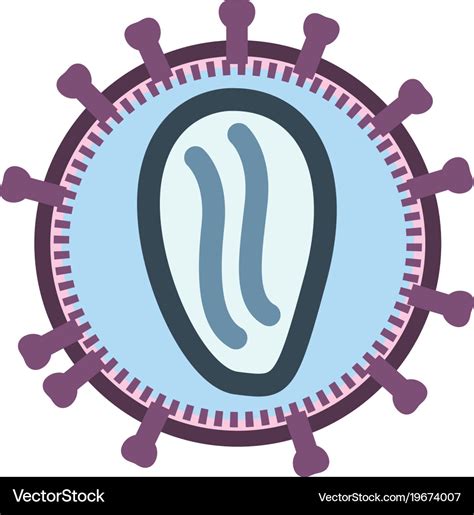 Aids Hiv Virus Linear Royalty Free Vector Image
