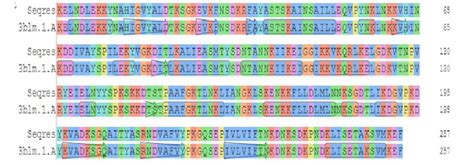 Template Target Sequence Alignment Considered For Homology Modeling