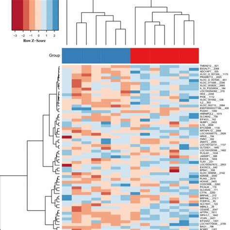 Unsupervised Hierarchical Clustering Euclidian Distance Complete