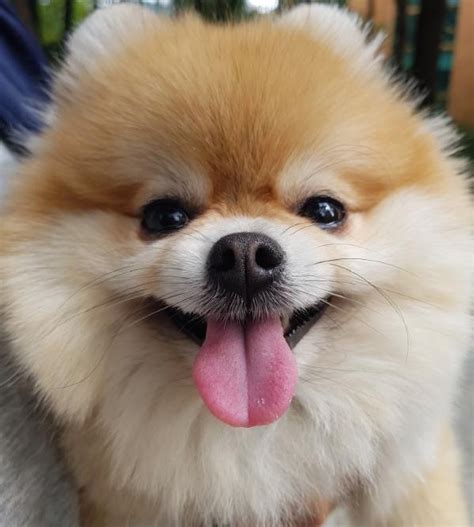 vscode 오류 해결 the python path in your debug configuration