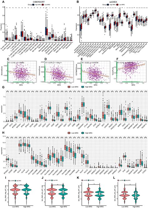 The Immune Characteristics Of Different Mrs Patient Subgroups A