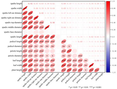 Plants Free Full Text A High Resolution Linkage Map Construction