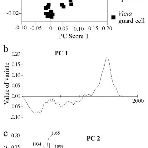 A C Exploratory Principle Components Analysis Covariance Matrix