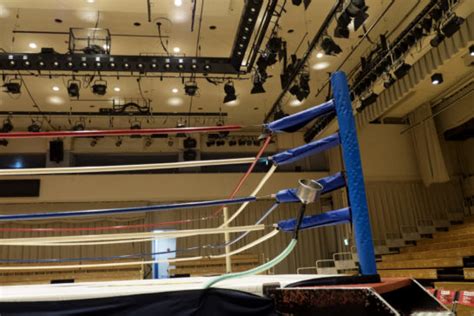 プロレスの日とはいつ？意味や由来は。日本ではいつから始まった 気になる話題・おすすめ情報館