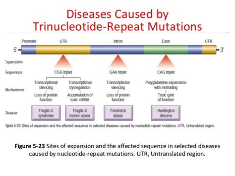 Single Genedisorders 1