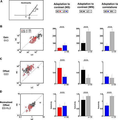 Adaptation To Stimulus Contrast And Correlations During Natural Visual