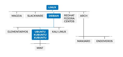 download a linux distribution run your computer using linux