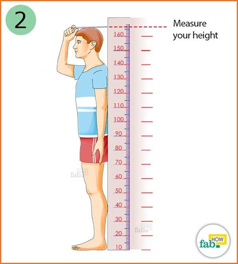 how to calculate average height haiper