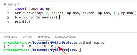 python numpy nan complete tutorial python guides