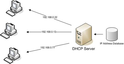 Github Hariharan0305 Visualisation Of Dhcp In Order To Assign An Ip
