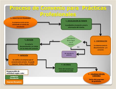 Las Prácticas Profesionales Como Vínculo Con El Sector Laboral