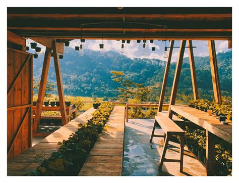 Top 11 Homestay Đà Lạt View đẹp Bao Chill Không Nên Bỏ Lỡ Vuidulich Vn