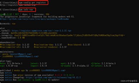 （全网最详细！！）npm：无法将“npm”项识别为 cmdlet、函数、脚本文件或可运行程序的名称 前端黑洞网