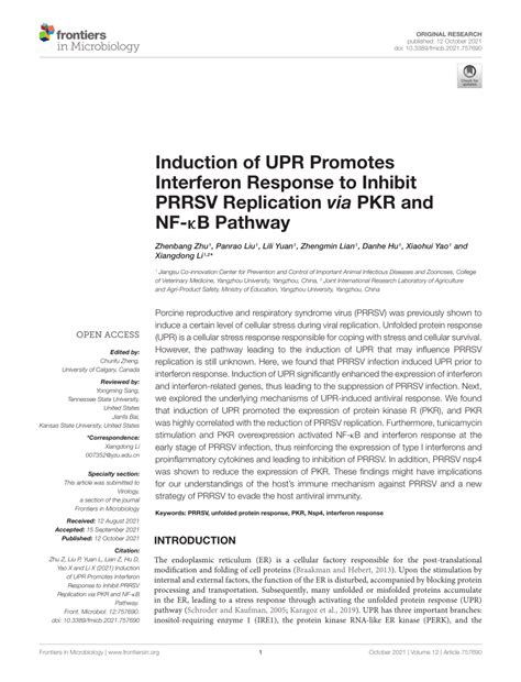 Pdf Induction Of Upr Promotes Interferon Response To Inhibit Prrsv