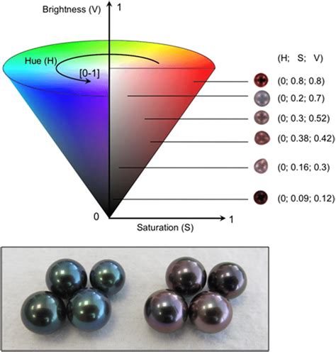 the hue saturation value hsv colour code system used to quantify