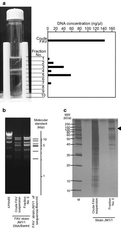 Virus Purification By Cscl Density Gradient Using General