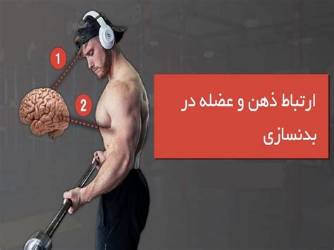 ارتباط عصب و عضله در بدنسازی افزایش حجم عضلات با تمرکز ذهنی در تمرین