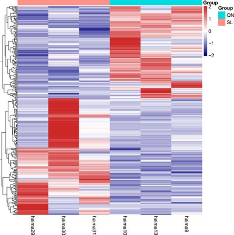 Heatmap Of All Differentially Expressed Mrnas In Hippocampal Tissues