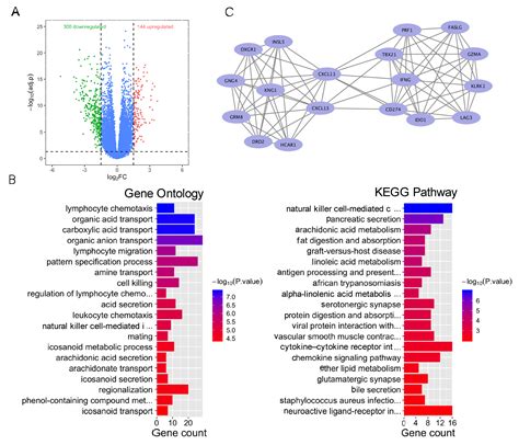 Genes Free Full Text Multi Level Analysis And Identification Of