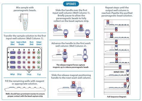 Gilson Article A Guide To Using Magnetic Beads For Rna And Dna