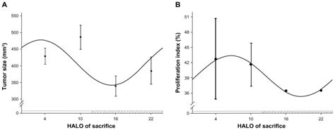 Circadian Rhythm Of Oscc Tumor Growth In Vivo A Cosine Fitted Curve