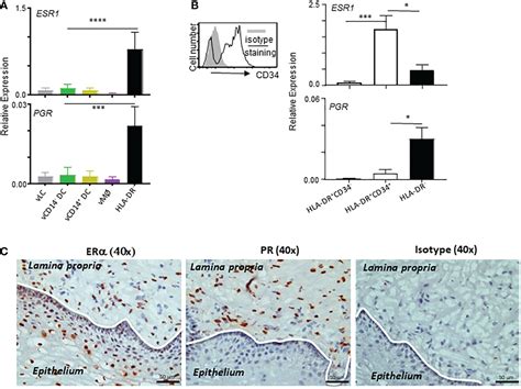 Frontiers Differential Expression Of Nuclear Hormone Receptors By
