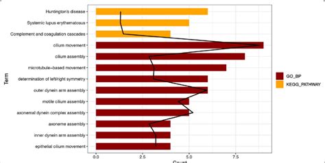 Function And Pathway Enrichment Analysis Of The Differentially