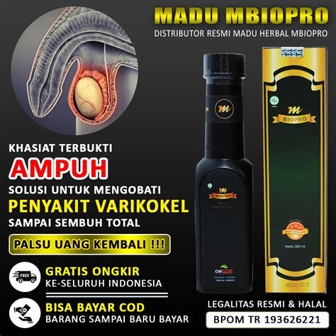Jual Obat Varikokel Testis Buah Zakar Bengkak Besar Sebelah Kiri Kanan