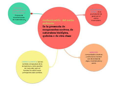 Contaminación Del Medio Ambiente Mind Map