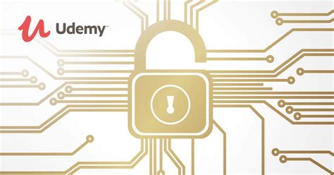 video training ethical hacking mit python heise online