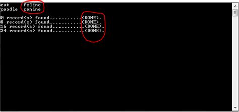 c console text alignment issue with string padding stack