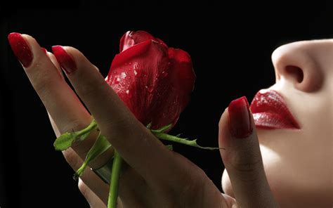 Red Rose And Lips Wallpapers Wallpapers Hd