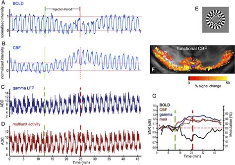 Frontiers Fmri At High Spatial Resolution Implications For Bold Models