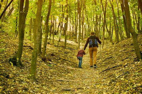 Premium Photo Father And Son Walking In The Autumn Forest Back View